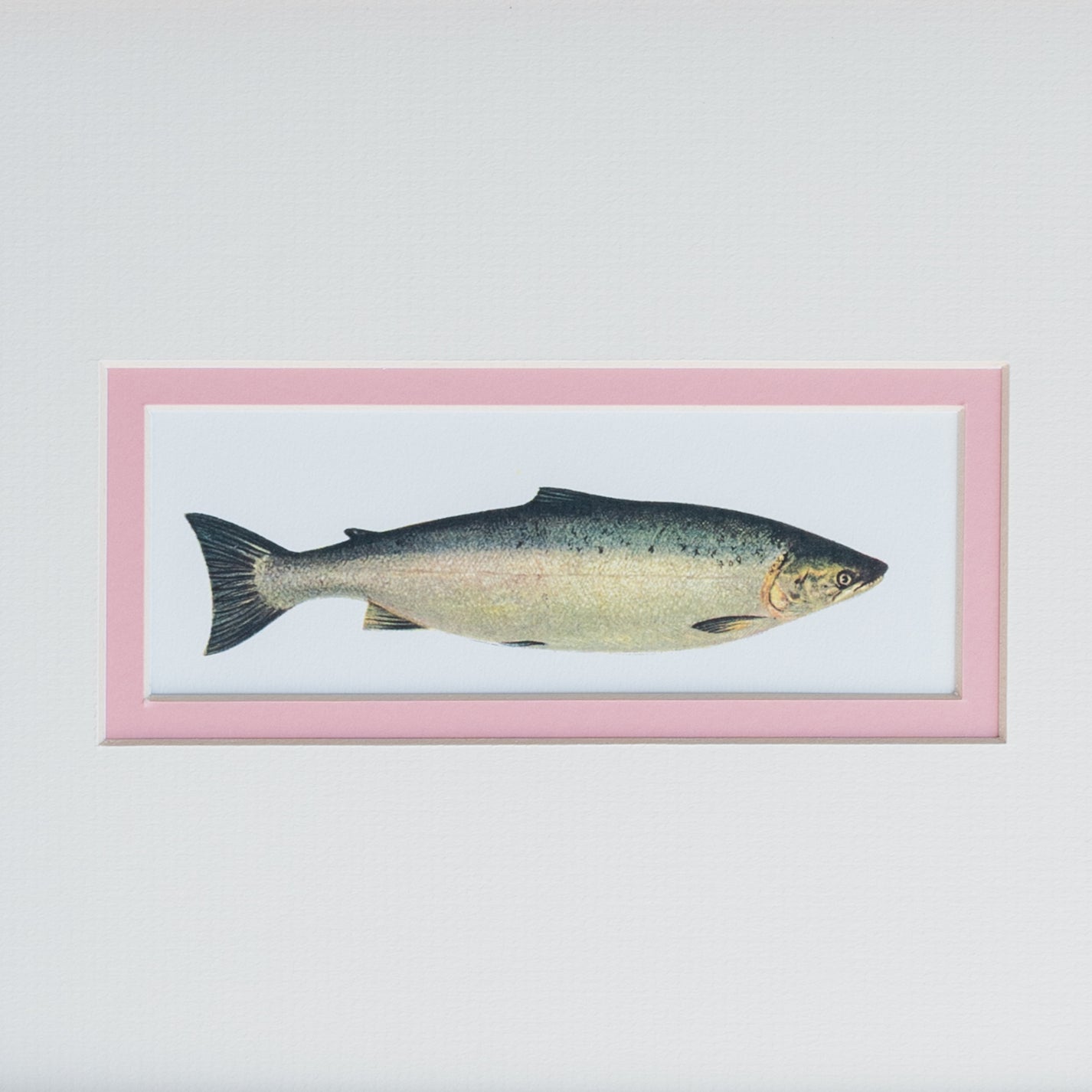 Giddy Prints - The Big Catch - Antique Prints