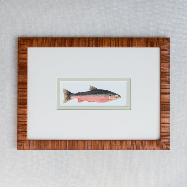 Giddy Prints - The Big Catch - Antique Prints