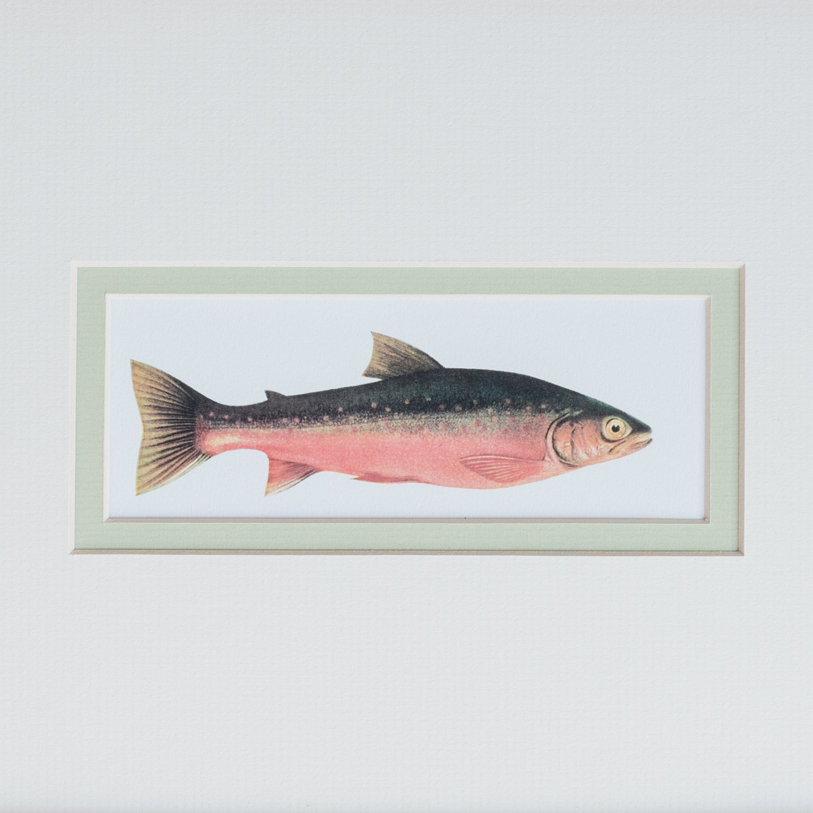 Giddy Prints - The Big Catch - Antique Prints