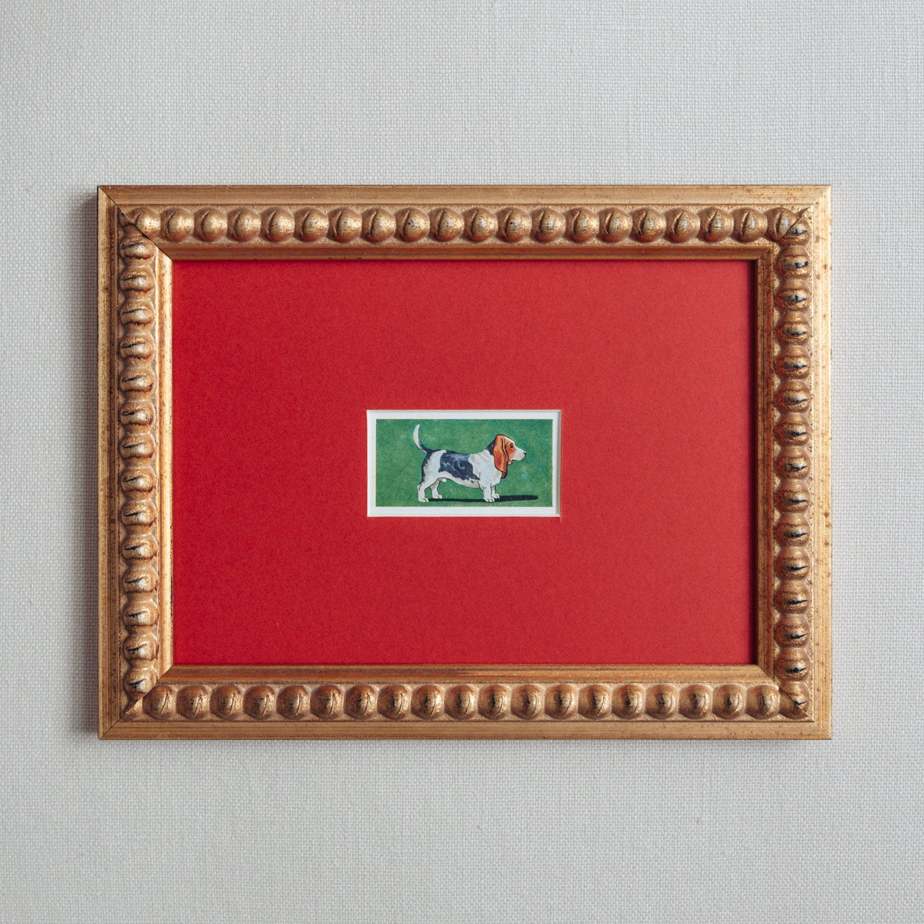 Giddy Prints - Mid-Century Dogs