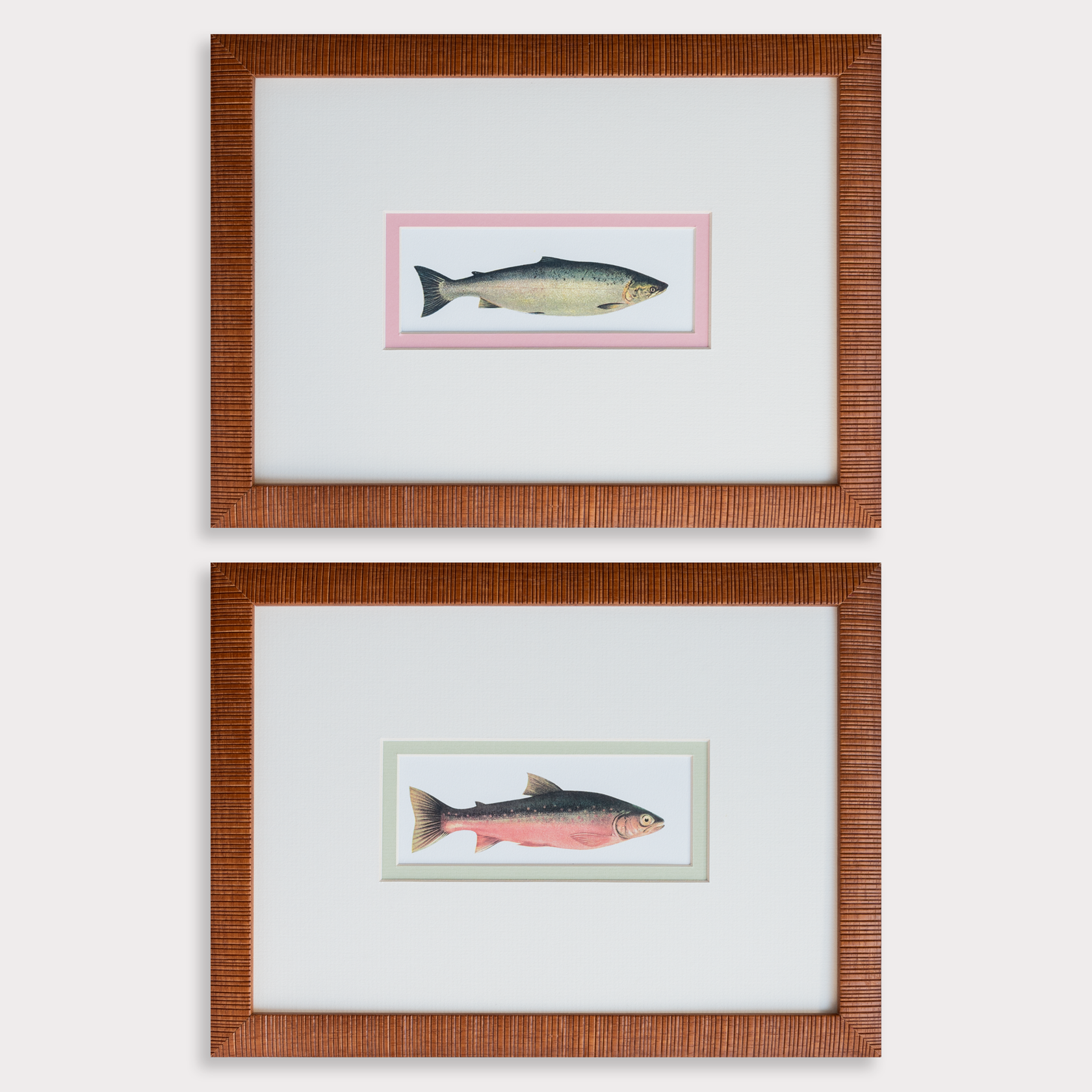 Giddy Prints - The Big Catch - Antique Prints